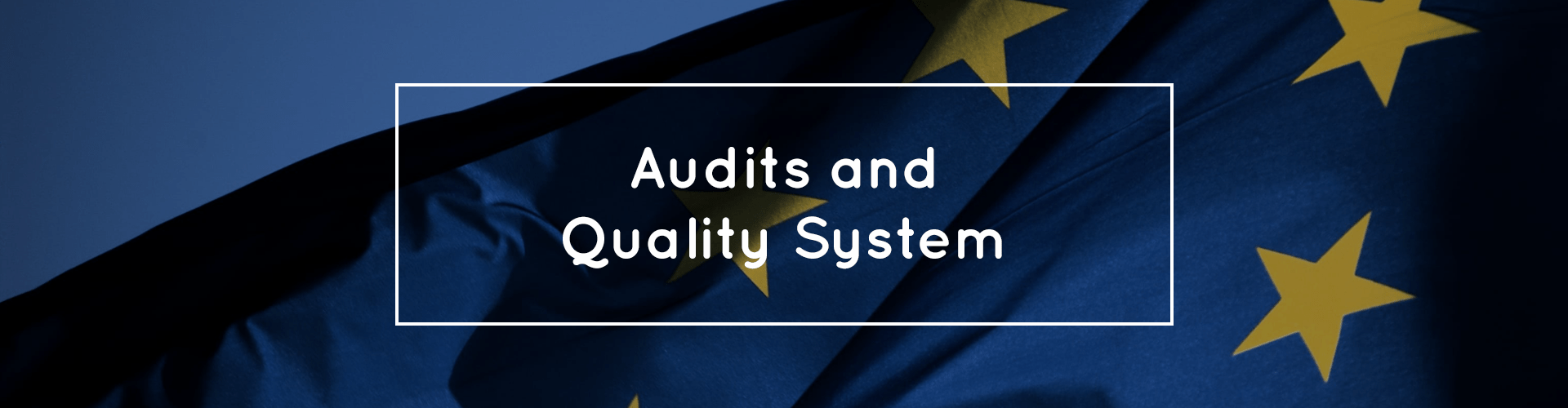 Europe: Audits in conformity with the QMS | Passarini